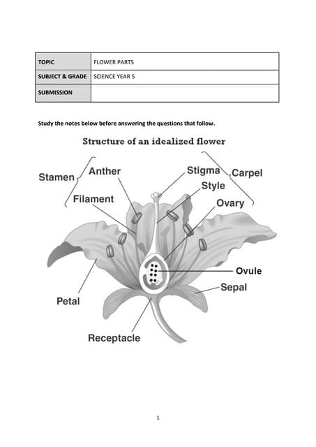 Plant reproduction worksheet | DOC