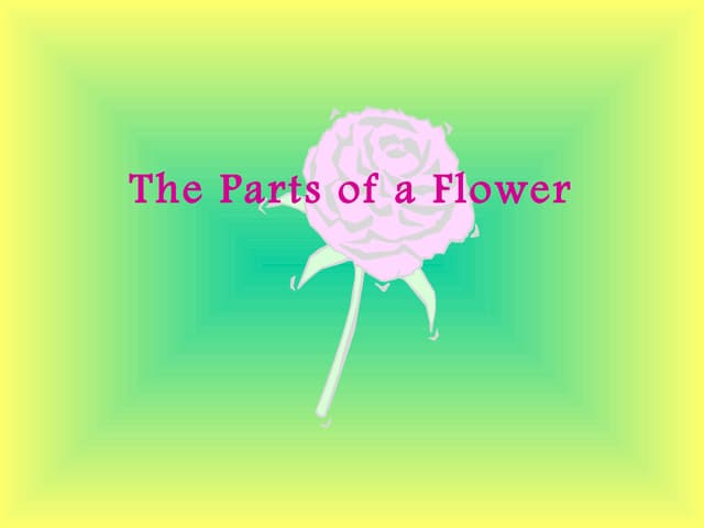 Different parts of flower. Sepal Petal Stamen Pistil Stigma | PPTX