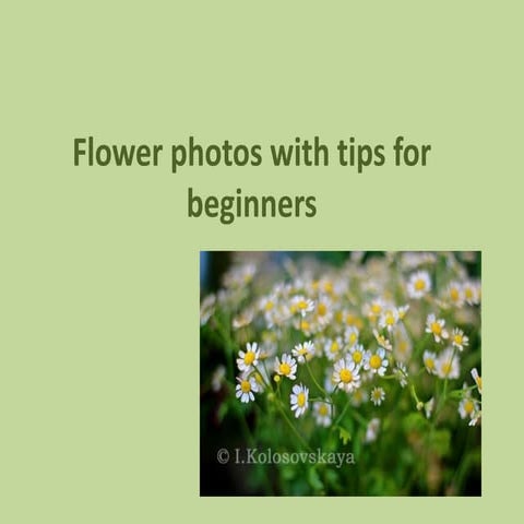 Flower photos with tips for beginners | PPT