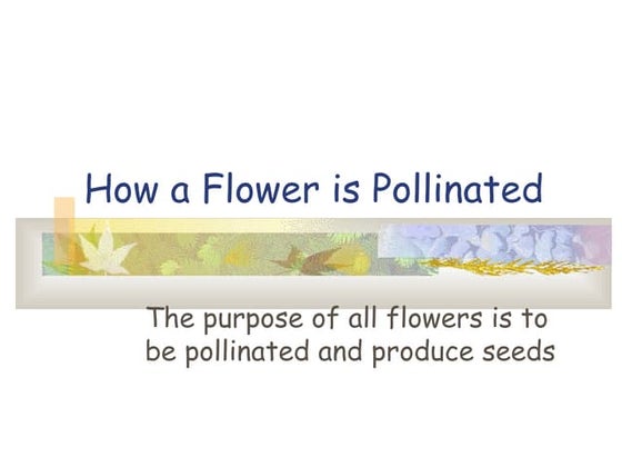 Parts of the flower | PPT