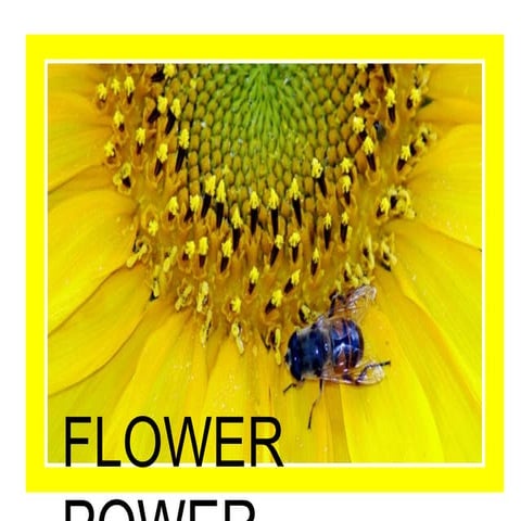 Flower Power | PPT