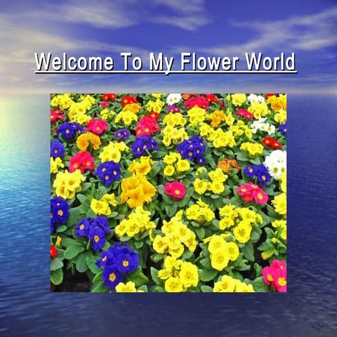 Flower presentations | PPT
