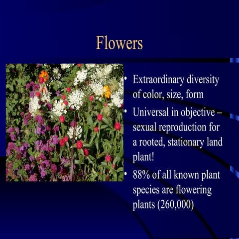 Flowers | PPT