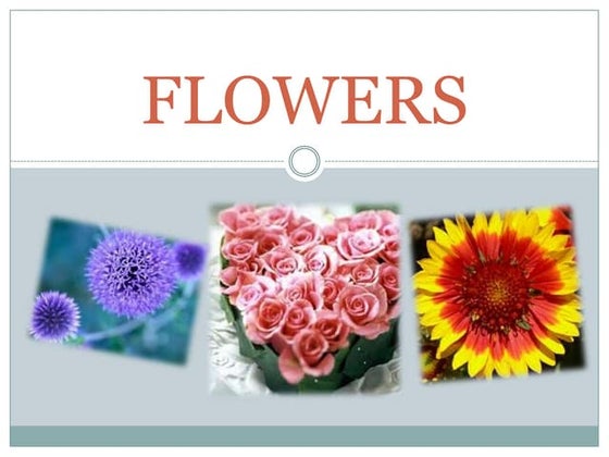 Flowers PPT by Aditya Sharma | PPTX