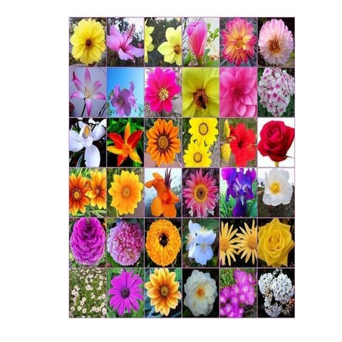 Vocabulary cliff hanger | PPT