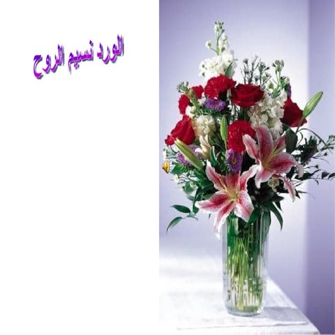 El bala7a lonha a7mar | PPT