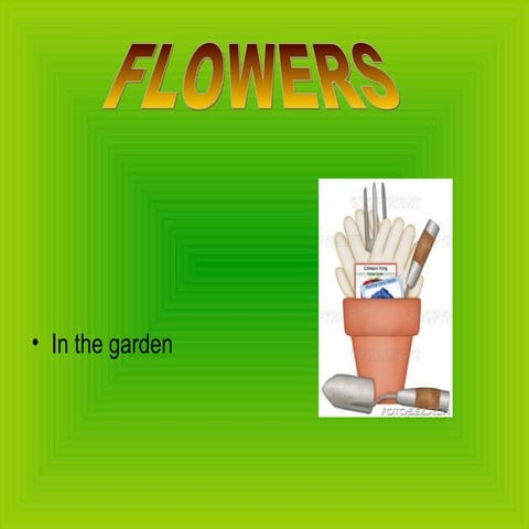 Flowers | PPT