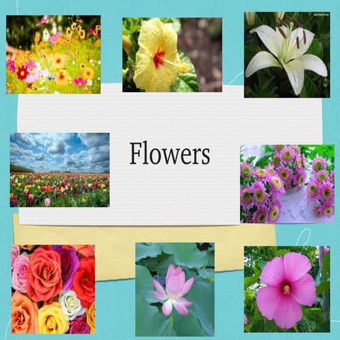 Flowers | PPT