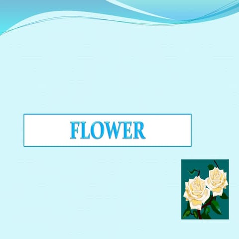 Flowers | PPTX