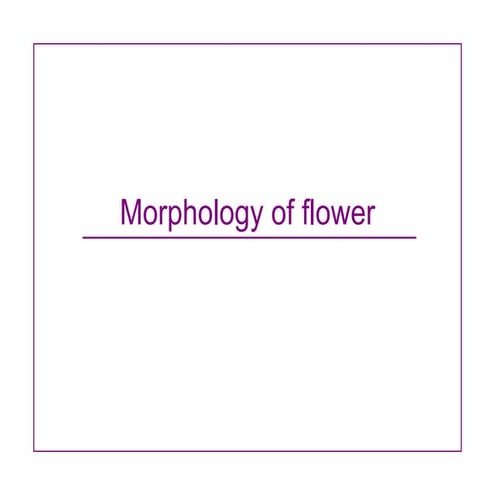 Morphology of Flower Morphology of Flower | PDF