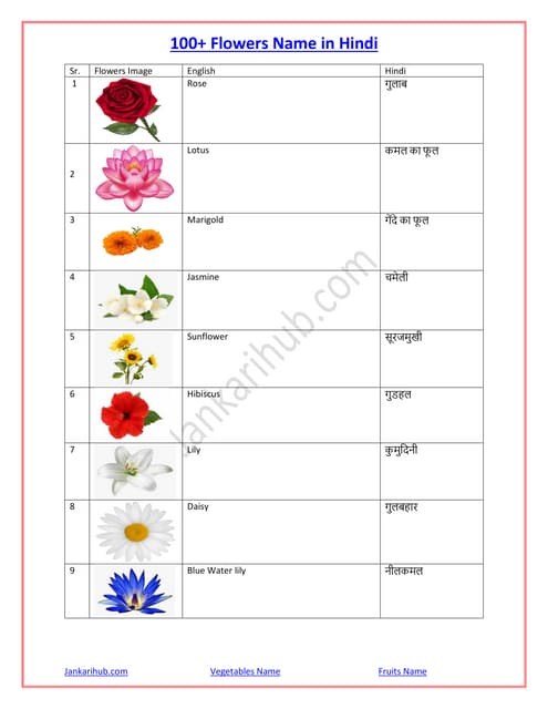 Flowers Name in Hindi and English 100 PDF