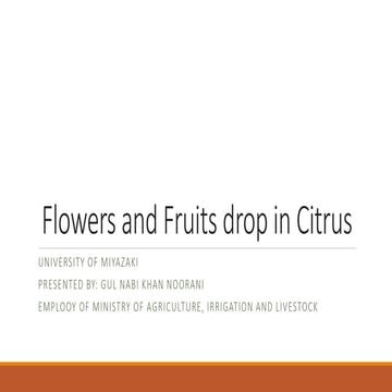 Kiwi presentation | PPTX