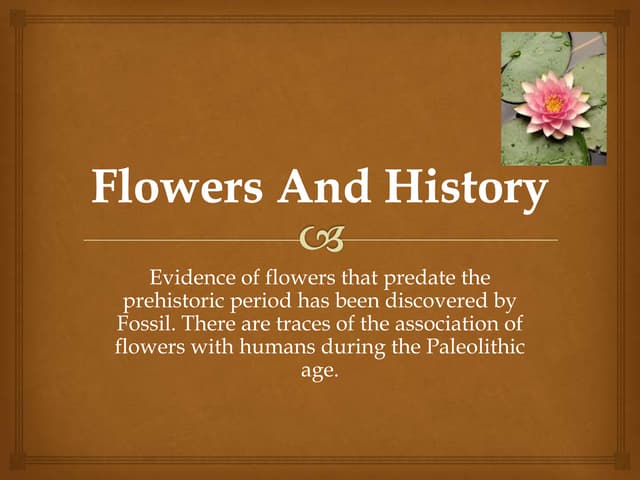 Prehistoric Flowering Plants
