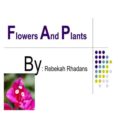 Flowers And Plants | PPT