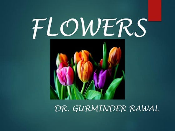 Presentation of class 4 on flower | PPT