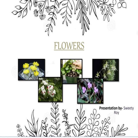 Flowers ppt | PPTX