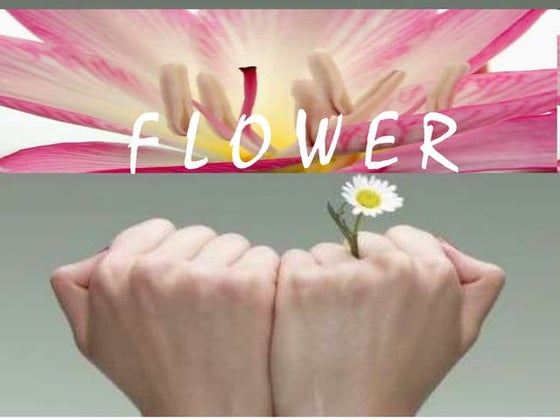 Floral formulas and diagrams | PPT