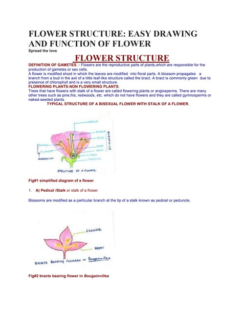 PARTS OF FLOWER.pptx