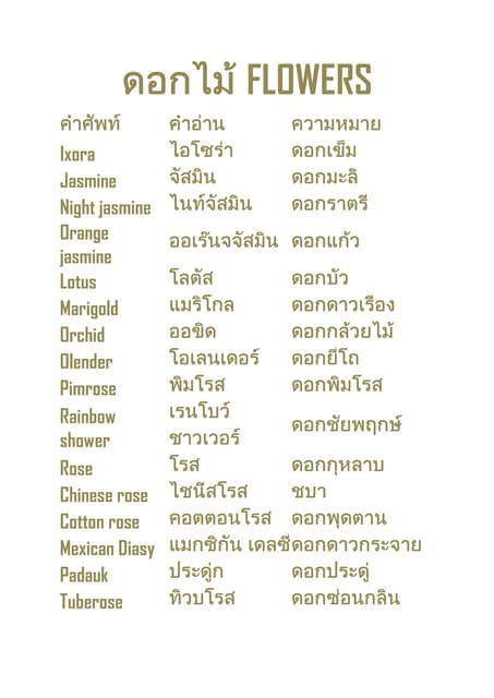 The hare and the tortoise waree | DOCX