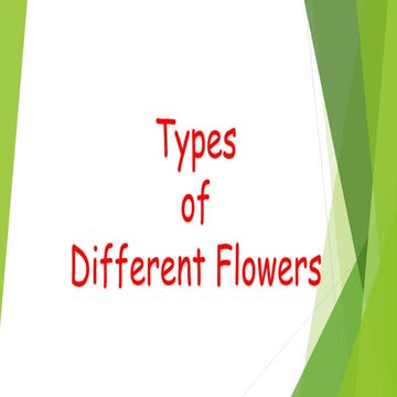 Flower_types.pptx | Gardening | Home & Garden