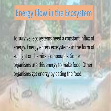 flow of energy.pptx Environmental science | PPT