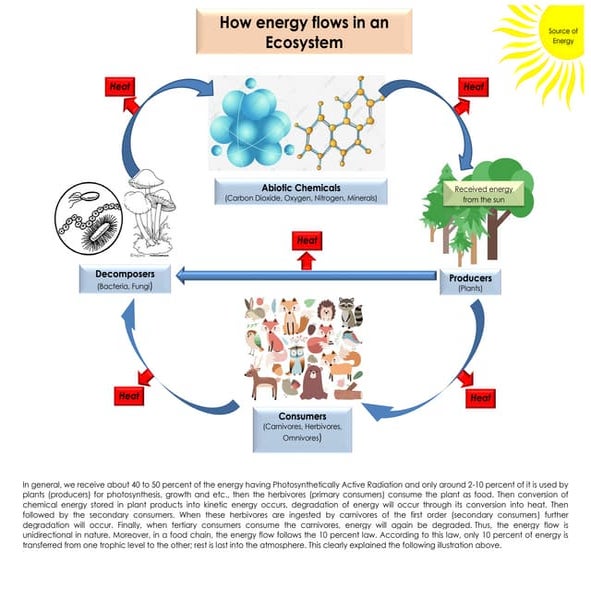 Flow of Energy.........................................pdf