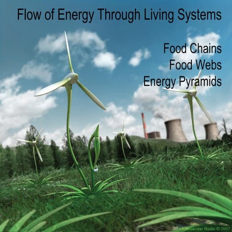 Flow of energy 2013-2014 | PPT