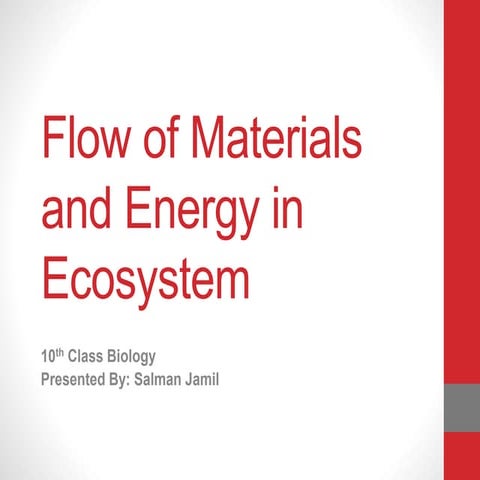 Flow of materials and energy in ecosystem 9th class | PPTX