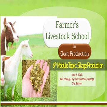 FLS-goat 2019- silage production.pptx | Agriculture | Industries