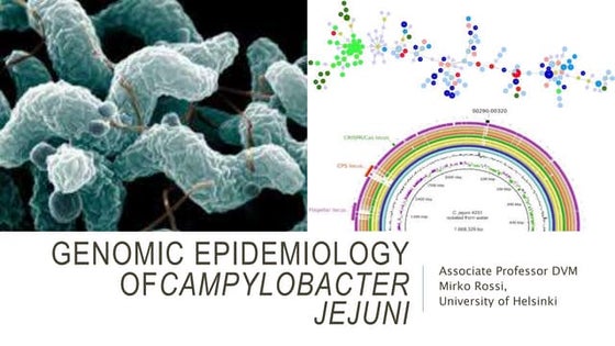 Message map: Campylobacter jejuni | PPT
