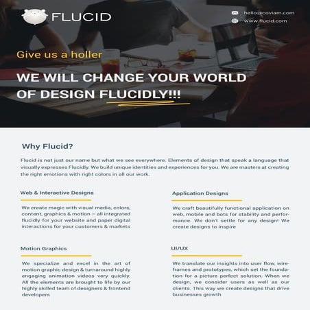 Flucid | Coviam | PDF