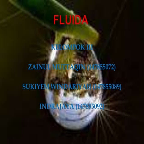 Fluida | PPT