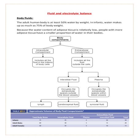 Fluid and electrolyte balance | DOCX