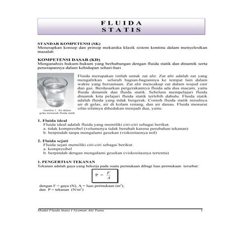 Fluida statiss | PDF