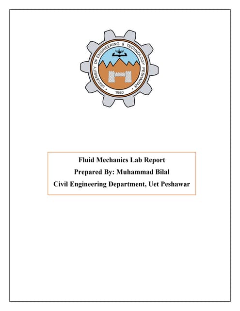 Reynolds Number Final Report in LAB 1 | PDF
