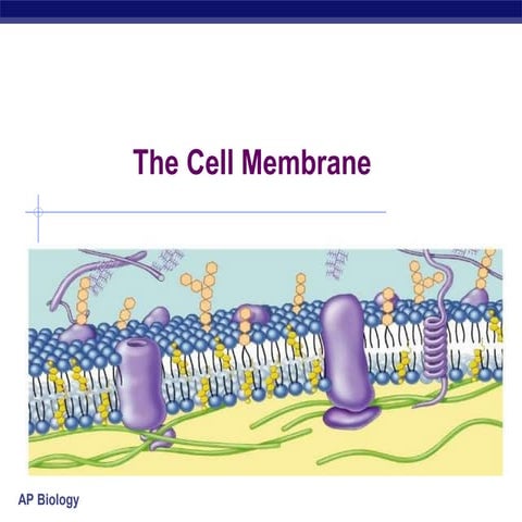 Fluid mosaic model of cell membrane.pptx