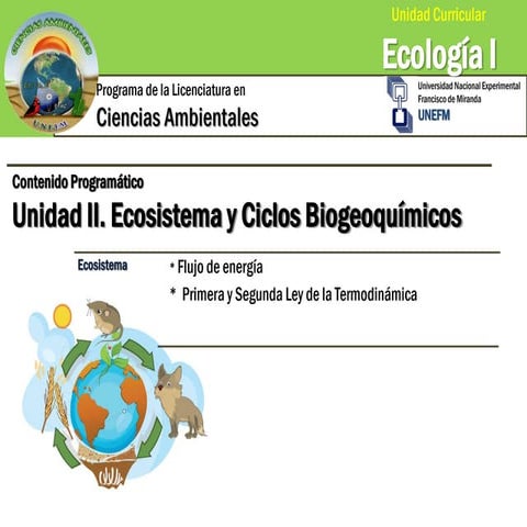 Hoja De Trabajo Sobre El Flujo De Energía En Los Ecosistemas