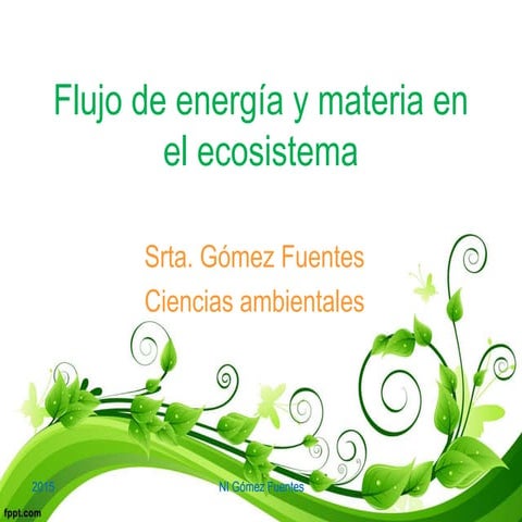 Flujo de energía y materia en el ecosistema | PPTX