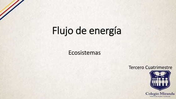 grado 5 energia de los ecosistema.pptx