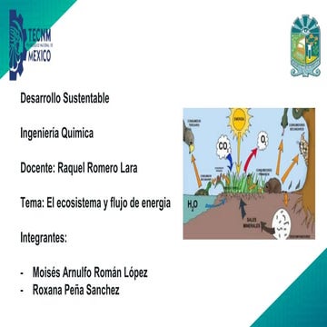 FLUJO DE ENERGIA EN UN ECOSISTEMA EXPOSICION EQUIPO 1.pptx