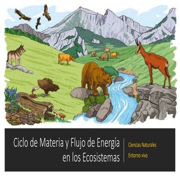 Flujo de Materia y Energía.pptx