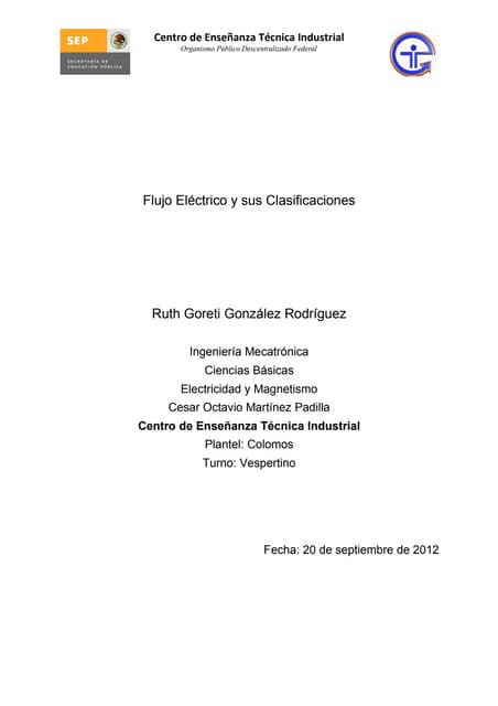 Flujo eléctrico y sus clasificaciones | DOCX | Physics | Science