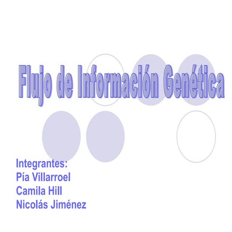 Flujo formacion genetica | PPT