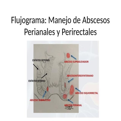 EMBRIOLOGIA, ANATOMIA Y FISIOLOGIA DE LA PIEL.pptx