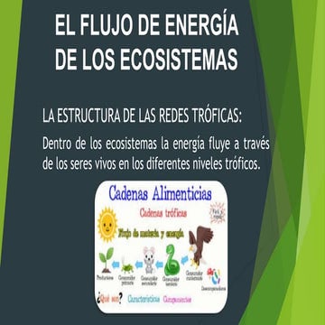 flujos de energía.pptx