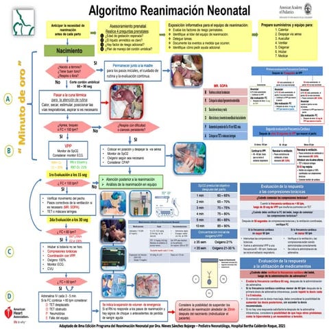 Flujograma Programa de Reanimación neonatal - Algoritmo PRN | PPTX