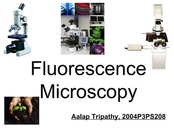 fluroscence spectroscopy | PPT | Chemistry | Science