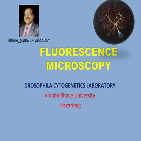 Fluorescence microscopy | PPT
