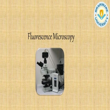 Fluorescence Microscopy | PPTX
