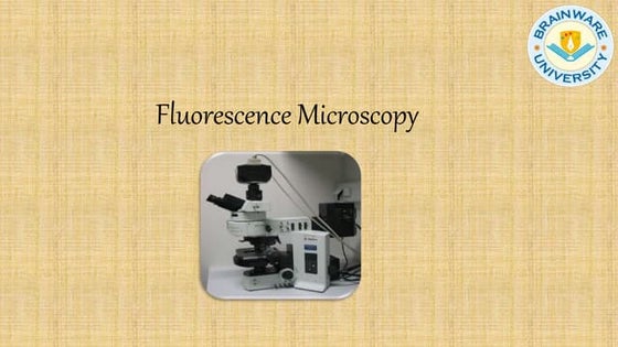 Fluoresence microscope | PPTX | Photography | Arts and Crafts